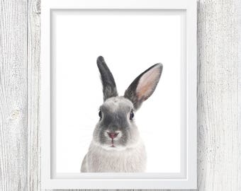 Printable rabbit | Etsy