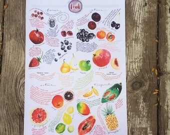 Fruit poster | Etsy