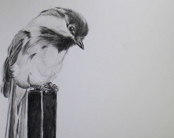 Chickadee drawing | Etsy