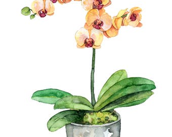 Orchid painting | Etsy