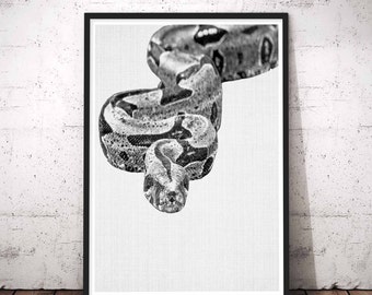 Snake wall art | Etsy