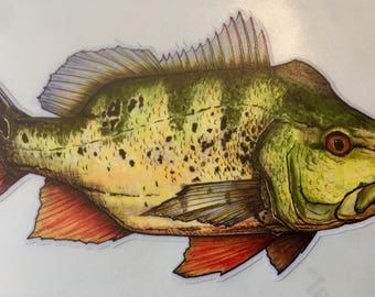 Fish Art and Fishing Decals by CaptStephenFerrell on Etsy