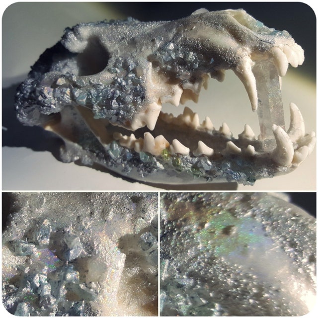 Unique handmade crystal and bone jewelry by KittyBombCurios