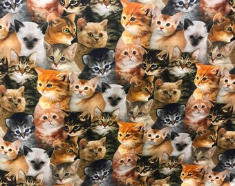 Novelty cat fabric | Etsy