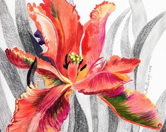 Multi Colored Parrot Tulip Watercolor