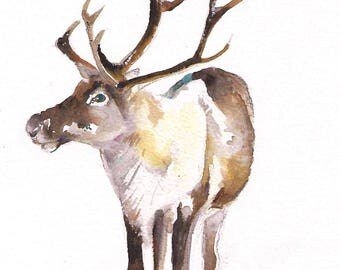 Reindeer watercolor | Etsy