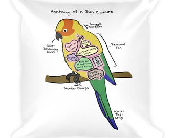 Sun conure | Etsy