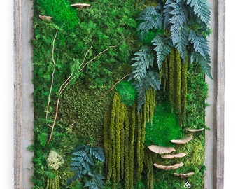 14x14 Artisan Moss® Moss and Fern Moss Wall Art.