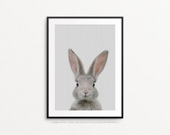 Rabbit print | Etsy