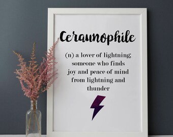 Definition Selenophile Print Tumblr Poster Selenophile