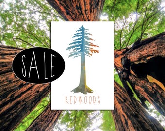 Redwood print | Etsy