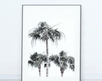 Palm tree print | Etsy