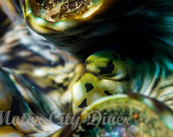 Guam Chamoru Sinahi Necklace Guahan Indigenous Carved Hima