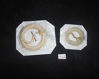 Snake skeleton | Etsy