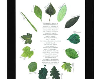 Celtic tree calendar | Etsy