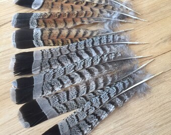 Grouse feather | Etsy