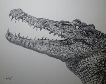 Crocodile drawing | Etsy