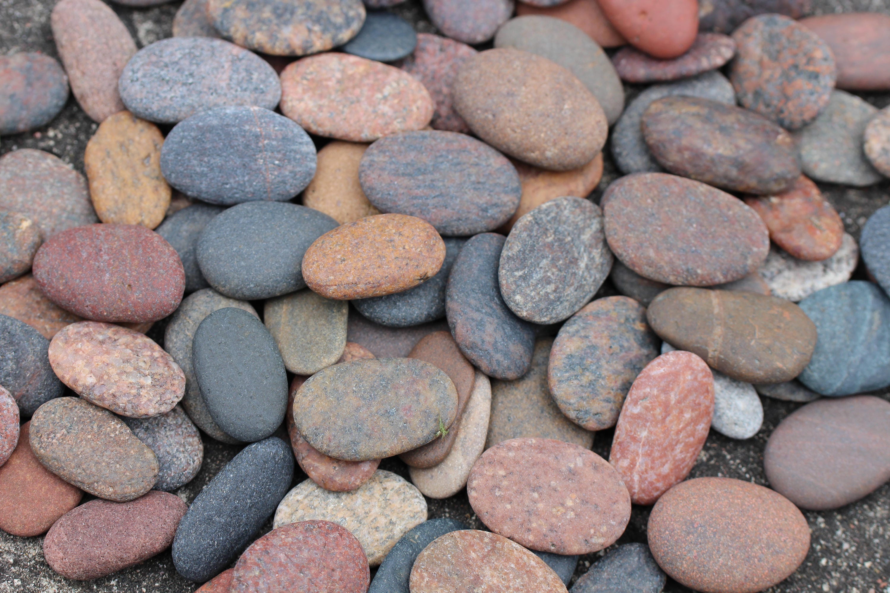 Oval Shaped Beach Rocks Sea Stones Oval Pebbles Bulk 100 pcs