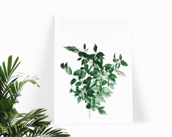 Botanical poster | Etsy