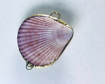 Shell coin purse | Etsy