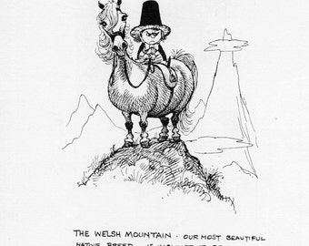 Norman thelwell | Etsy