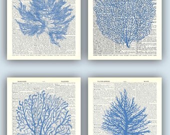 Beach Wall Decor Sea Fan Art Sea Coral Prints Set of 12 sea