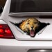 Leopard car decal Vinyl decal animal sticker leopard
