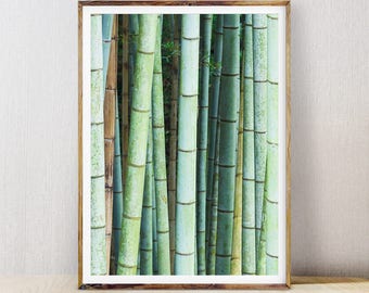 Bamboo wall art | Etsy