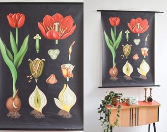 Botanical poster | Etsy