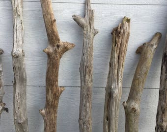 Driftwood branch | Etsy