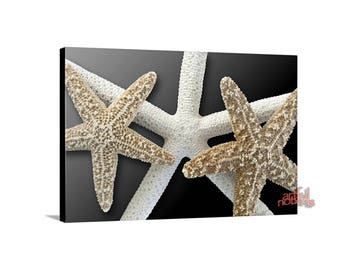 Seashell wall decor | Etsy