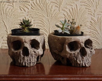 HUMAN SKULL REPLICA natural full size realistic replica made