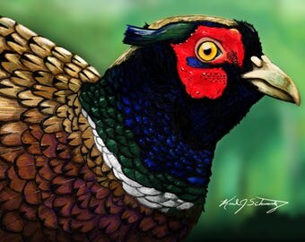 Pheasant drawing | Etsy