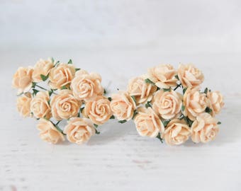 Peach roses | Etsy