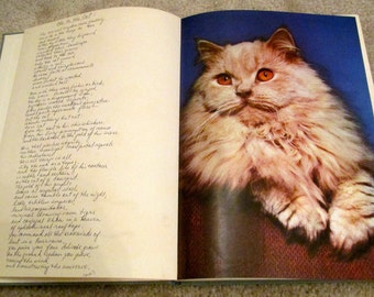 Pablo neruda poem | Etsy