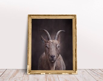 Goat art | Etsy
