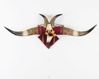 Steer horn wall | Etsy