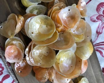 Jingle shells | Etsy