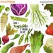 Watercolor Vegetables Clipart Healthy Food Download