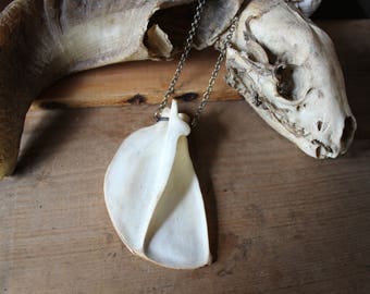 Bone Jewelry Human Rib Cage Necklace Ribcage Pendant Human