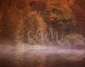 Forest backdrop | Etsy