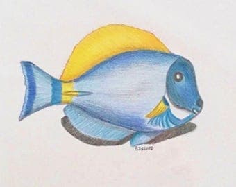 Surgeonfish | Etsy