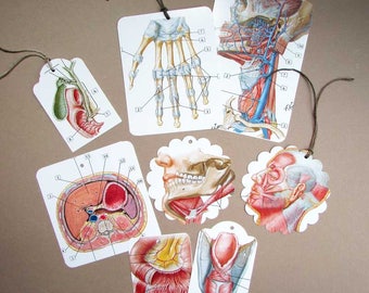 Scrapbooking tags | Etsy