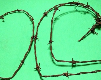 Barbed wire art | Etsy