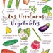 A3 Bilingual Poster Vegetables Verduras Spanish English