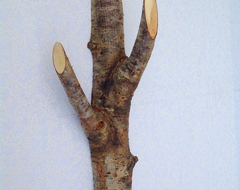 Tree branch hanger | Etsy