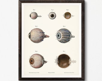 Optometrist gift | Etsy