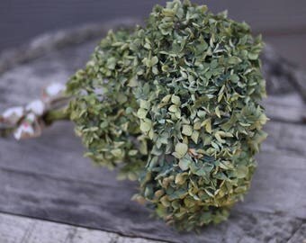 Dried hydrangeas | Etsy