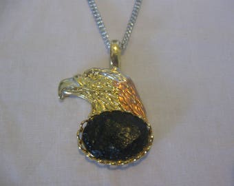 Variegated Tri Color Ginger Tropical Plant Red Green White