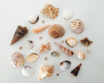 Aquarium decoration | Etsy